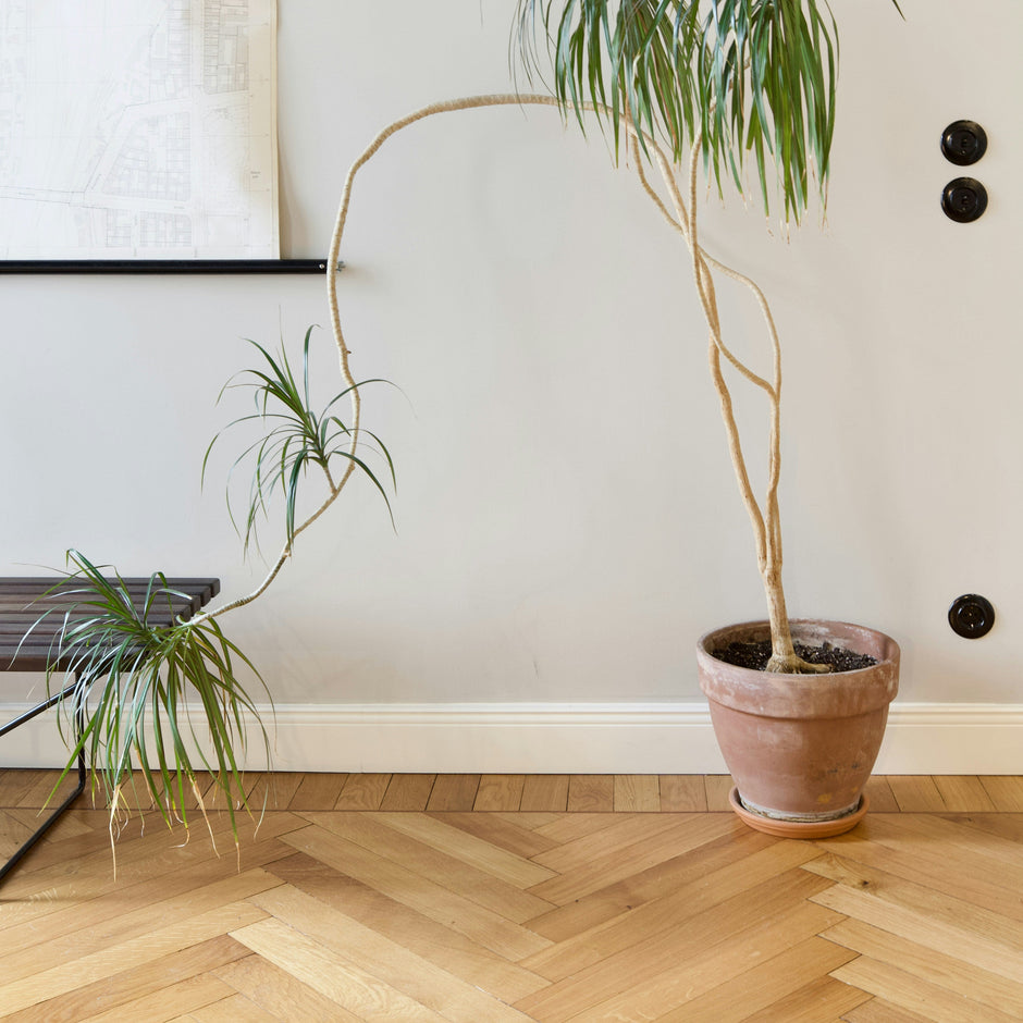 Pavimentos de Madeira Maciça – JULAR Madeiras