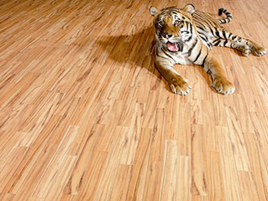 Pavimentos - Laminados – JULAR Madeiras